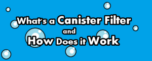 What Exactly is a Canister Filter and How Does it Work?