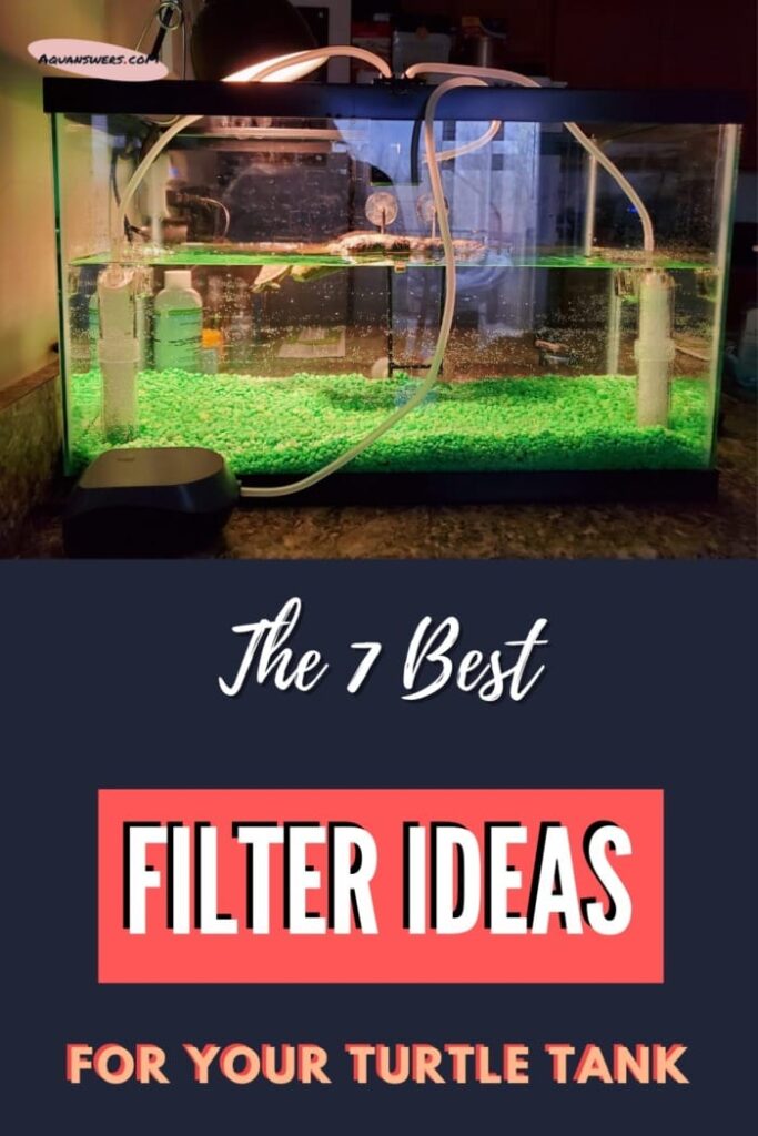 7 Best Filters for Your Turtle Tank & its Gallon Capacity | AquAnswers