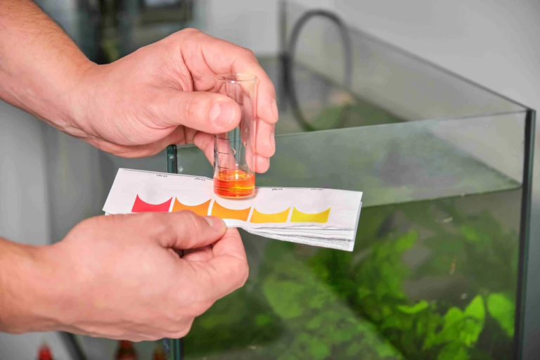 Nitrate Poisoning in Aquarium Fish: Causes and Cures - AquAnswers