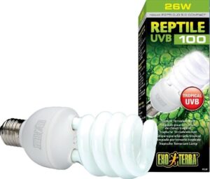 Best Heat Lamps & UVB Lights for a Turtle Tank | AquAnswers