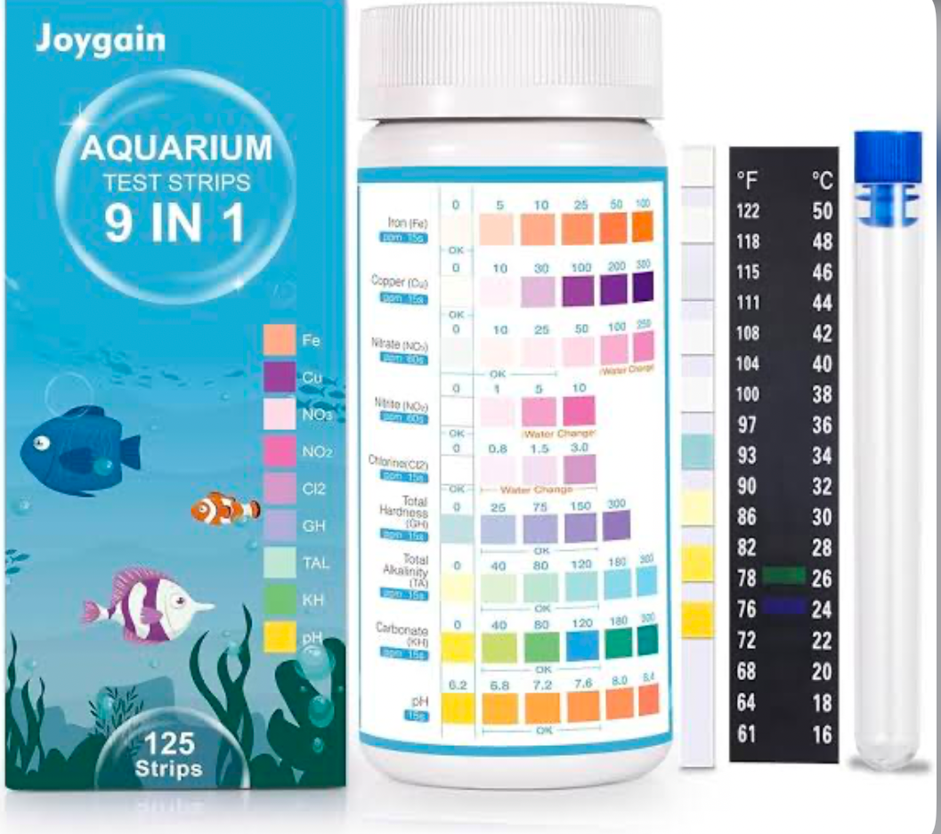 Nano Reef Tank Setup Guide: Building a Thriving Miniature Marine World ...