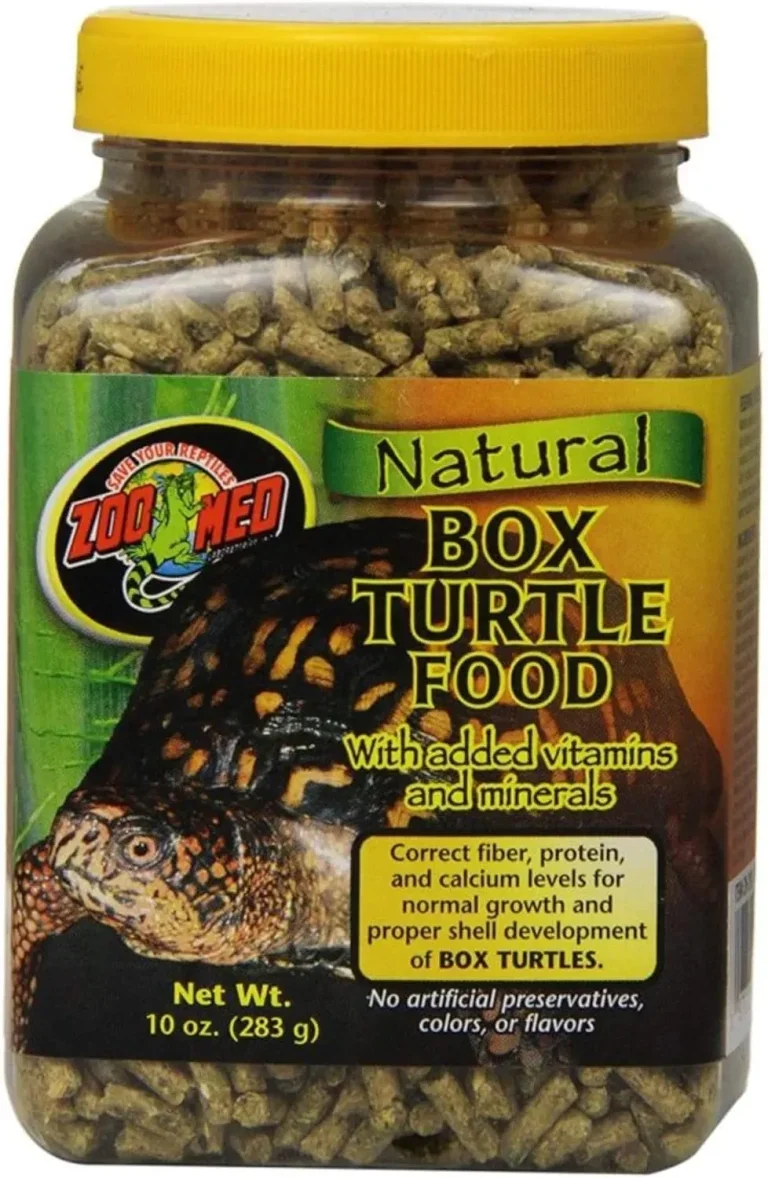 Complete Guide to Turtle Food: What to Feed and Why It Matters | AquAnswers